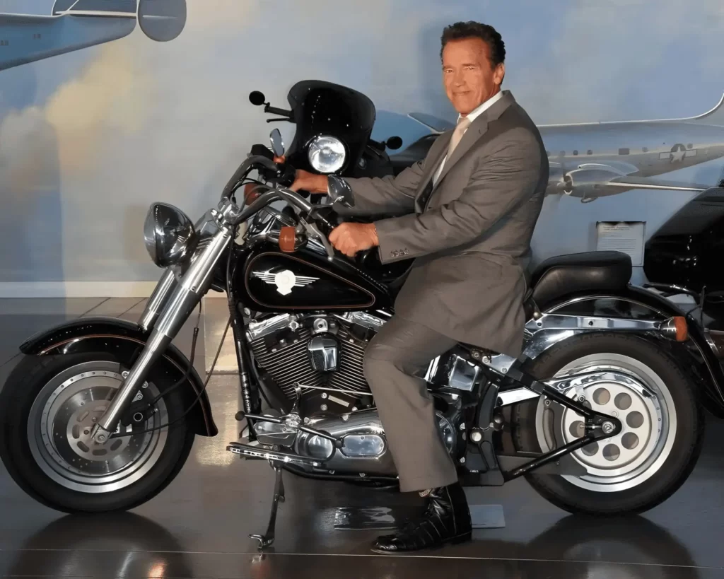 Fat Boy: A História da Moto Custom Harley-Davidson no Cinema e a ...